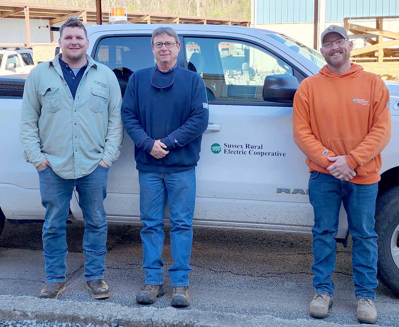 Sussex REC Lineworkers Help Bear Cub Stranded in Tree - America's ...