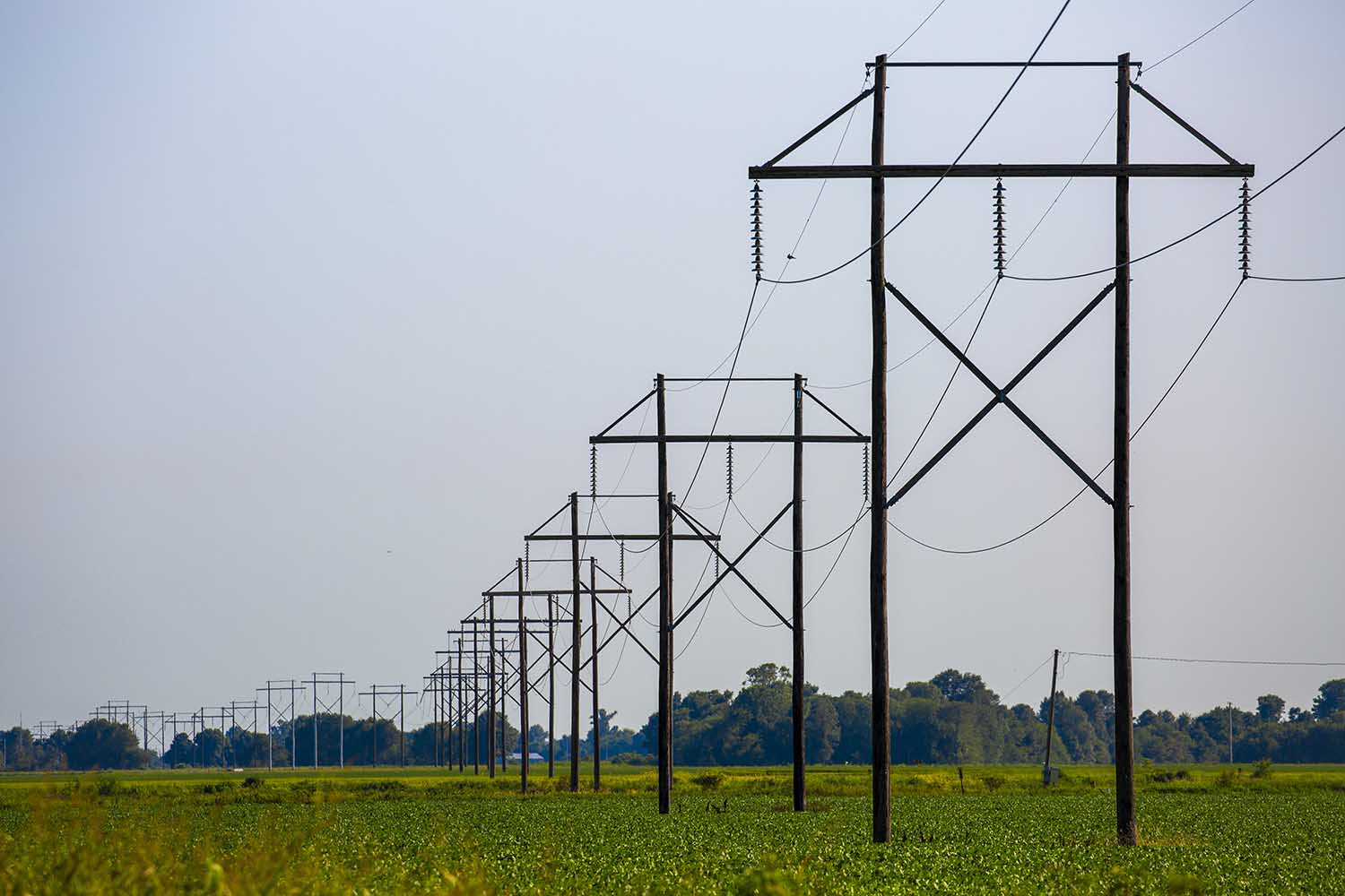 Co-ops Discuss Risks, Opportunities of Demand Surge From AI, Data ...