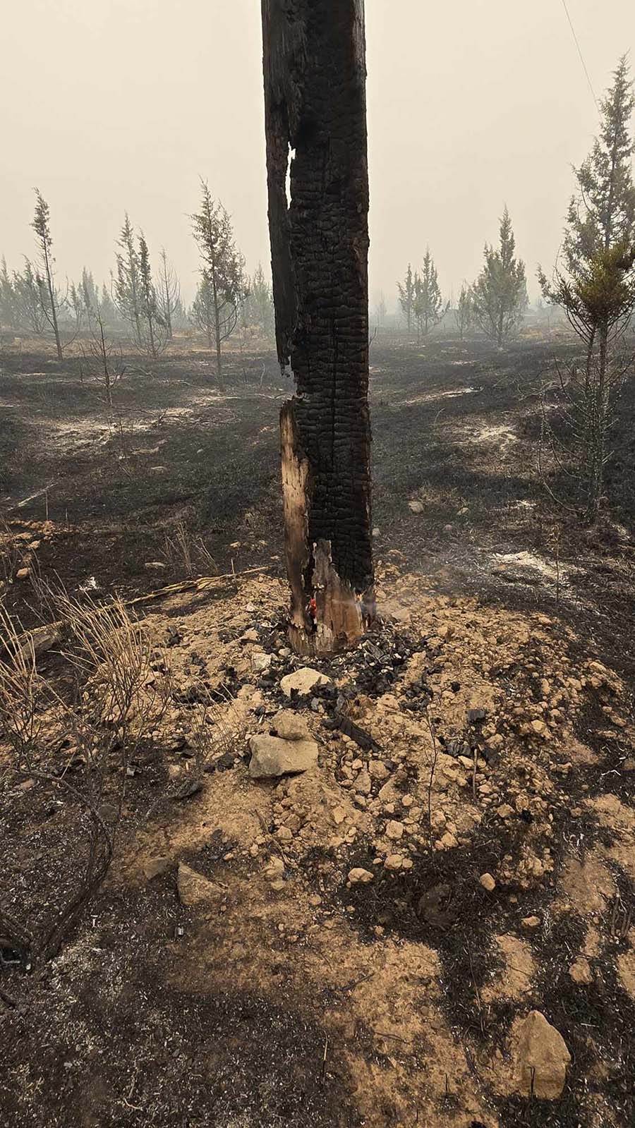 Tiny Oregon Co-op Keeps the Lights On Despite Massive Wildfires ...