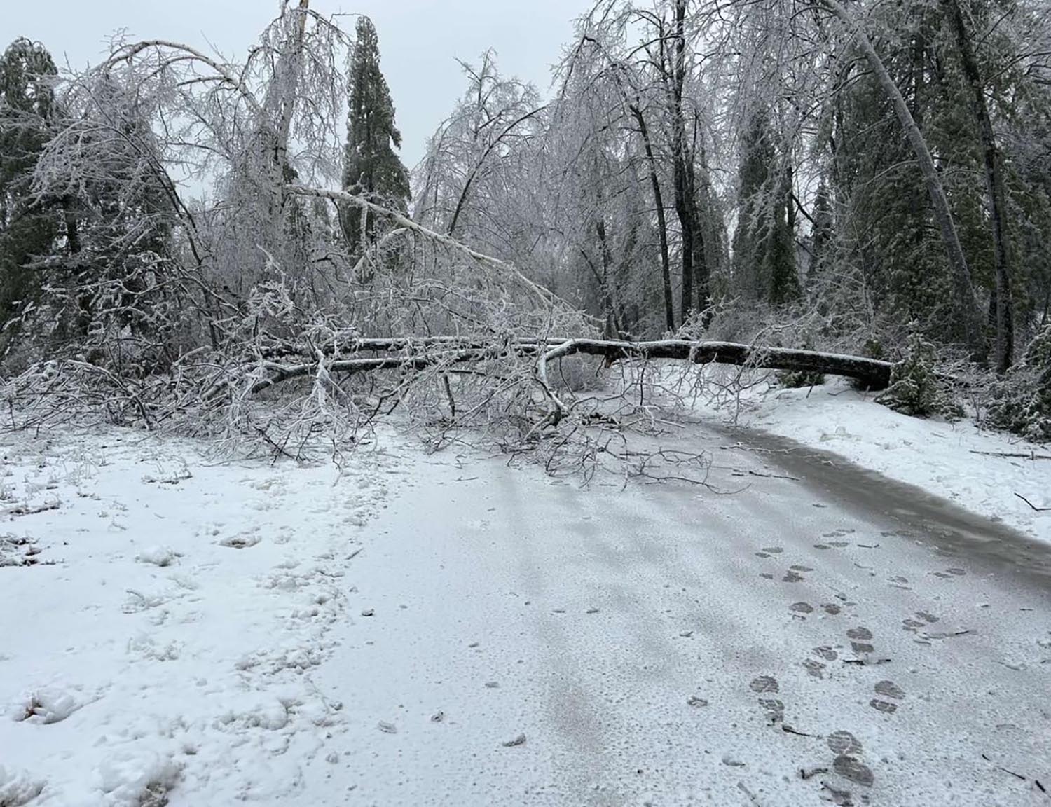 Michigan Co-ops Work to Restore Power After Spring Ice Storms - America ...