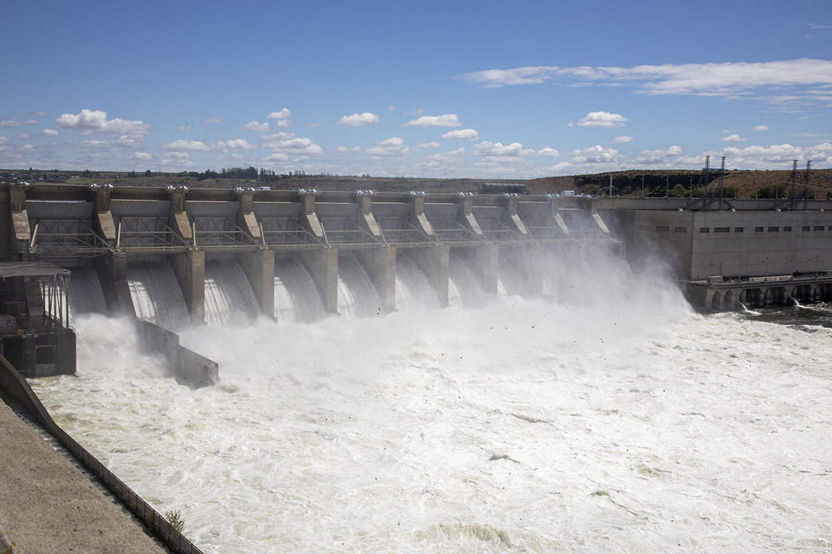 NRECA Applauds Trump Administration’s Move to Protect Lower Snake River ...