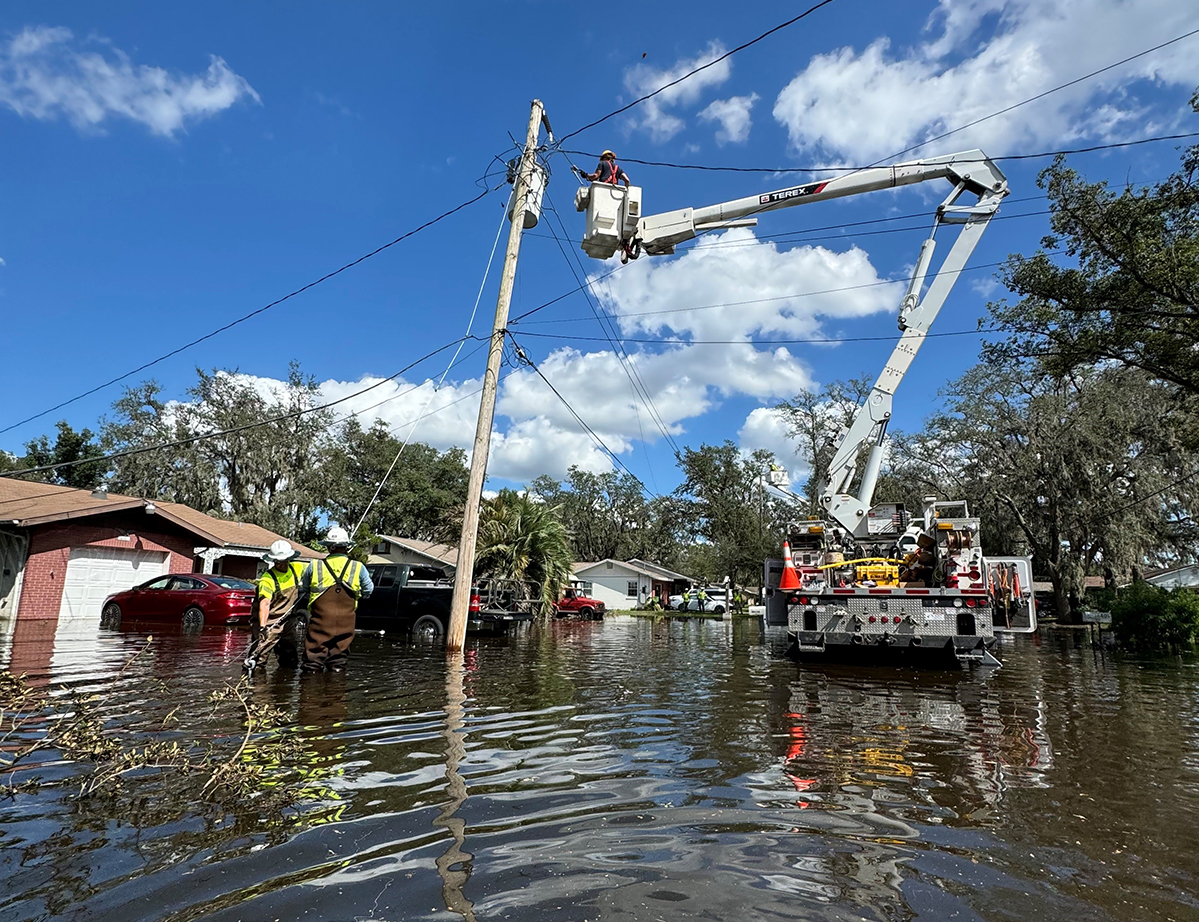 Partnerships, Preparation Equal Power for Florida Co-op After Hurricane ...